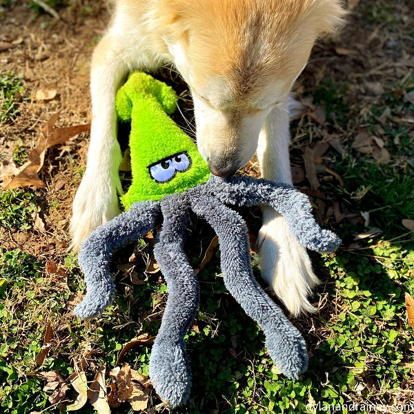 Cycle Dog Duraplush Squid Dog Toy - Branchburg, NJ - Flemington, NJ ...